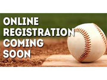 Home [www.lsbaseball.com]